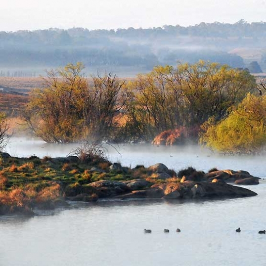 About Glen Innes Highlands