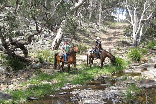 Glen Innes Highlands offers a range of accommodation | Glen Innes Highlands