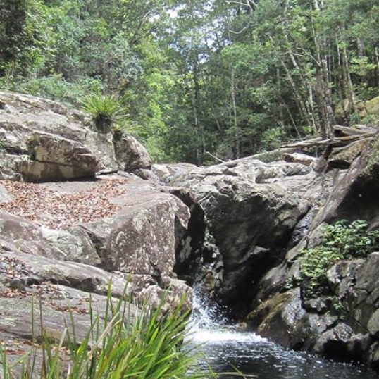 Hiking | Glen Innes Highlands