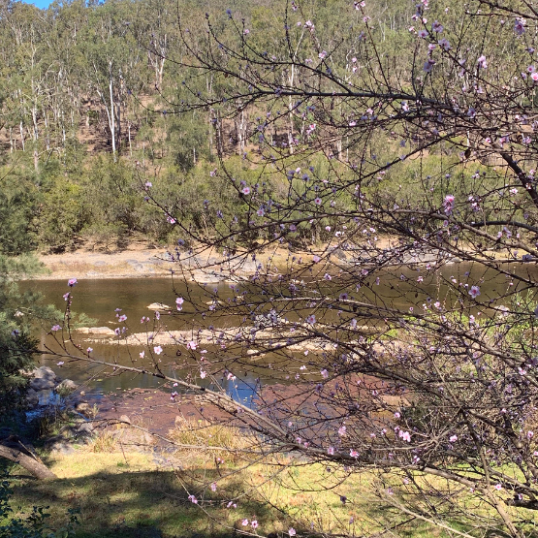 Old Grafton Road | Glen Innes Highlands