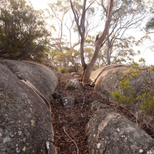 Explore World-ClassNational Parks& Nature Reserves | Glen Innes Highlands