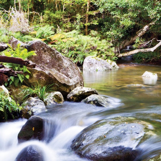 Explore World-ClassNational Parks& Nature Reserves | Glen Innes Highlands