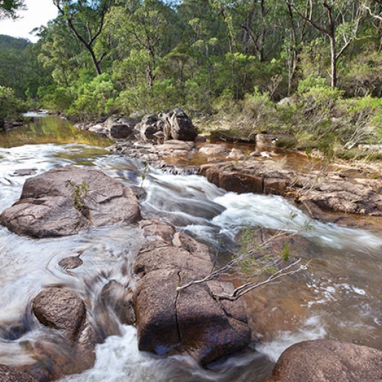 Explore World-ClassNational Parks& Nature Reserves | Glen Innes Highlands