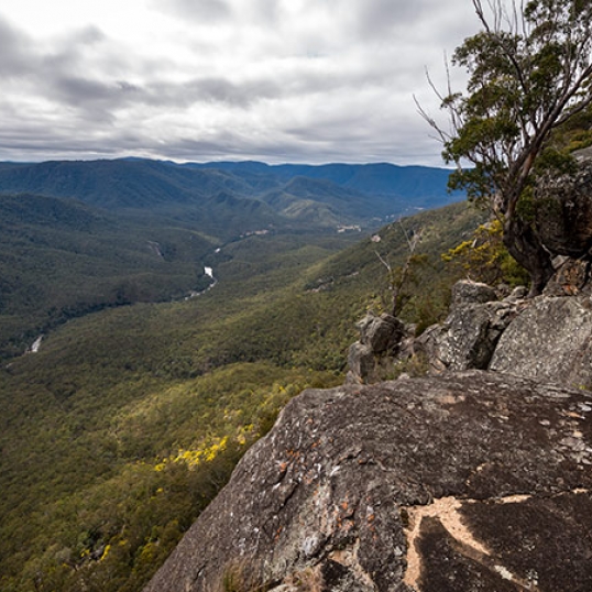Explore World-ClassNational Parks& Nature Reserves | Glen Innes Highlands