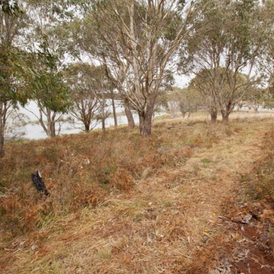 Explore World-ClassNational Parks& Nature Reserves | Glen Innes Highlands