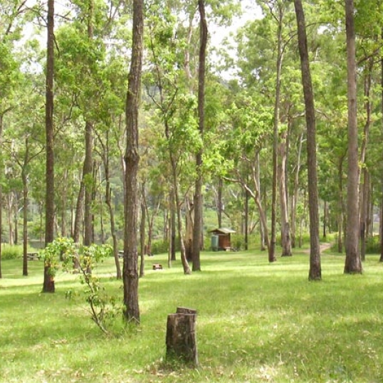 Explore World-ClassNational Parks& Nature Reserves | Glen Innes Highlands