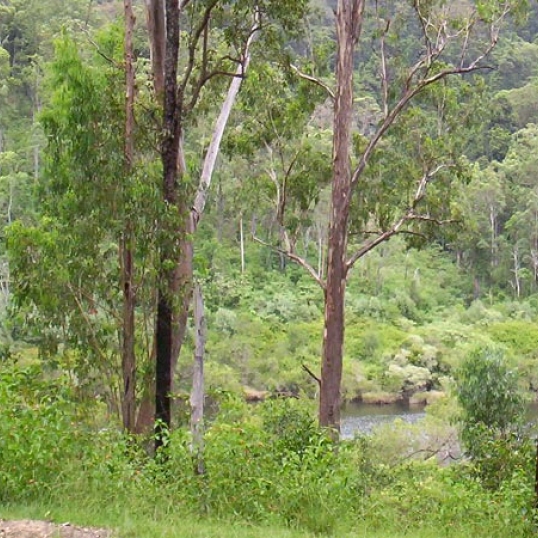 Explore World-ClassNational Parks& Nature Reserves | Glen Innes Highlands