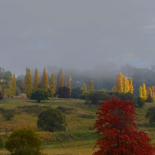 Picturesque Villages | Glen Innes Highlands