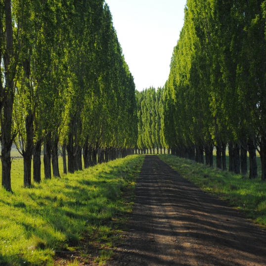 Climate | Glen Innes Highlands