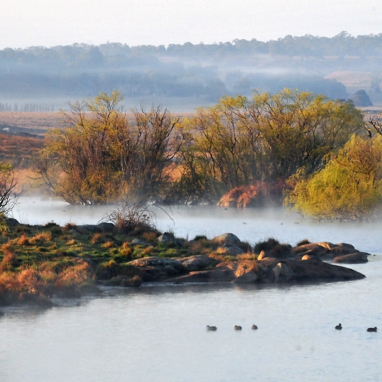 Climate | Glen Innes Highlands