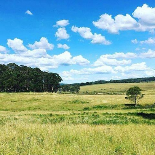 Four Seasons | Glen Innes Highlands