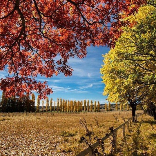 Four Seasons | Glen Innes Highlands