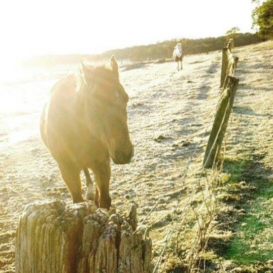 Four Seasons | Glen Innes Highlands