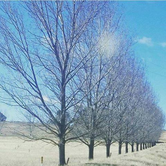 Four Seasons | Glen Innes Highlands