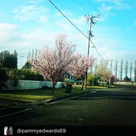 Four Seasons | Glen Innes Highlands