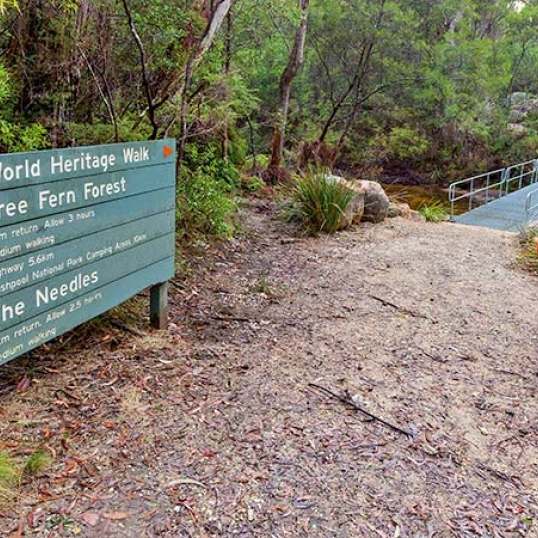 Hiking | Glen Innes Highlands