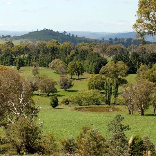 New England High Country | Glen Innes Highlands