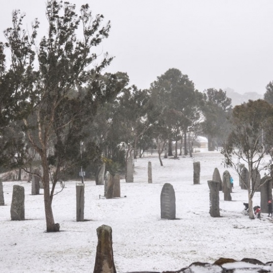 About Glen Innes Highlands