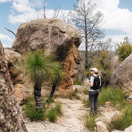 Explore World-ClassNational Parks& Nature Reserves | Glen Innes Highlands