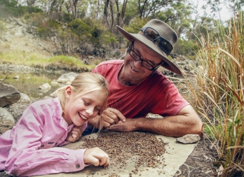 Climate and Weather | Glen Innes Highlands