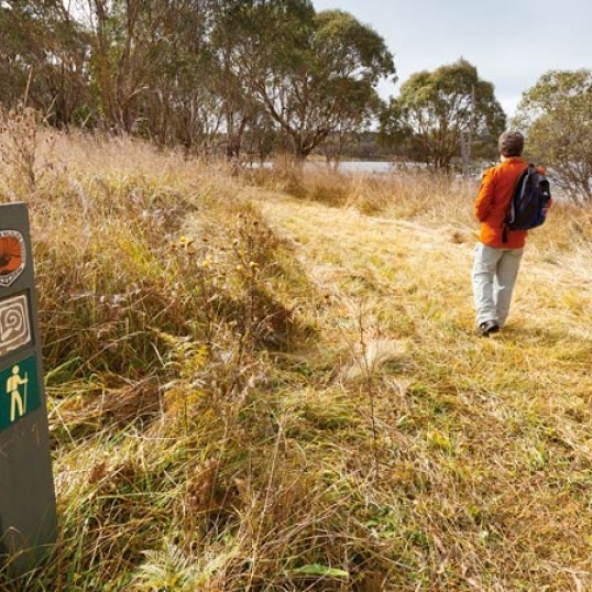 World Heritage National Parks | Glen Innes Highlands