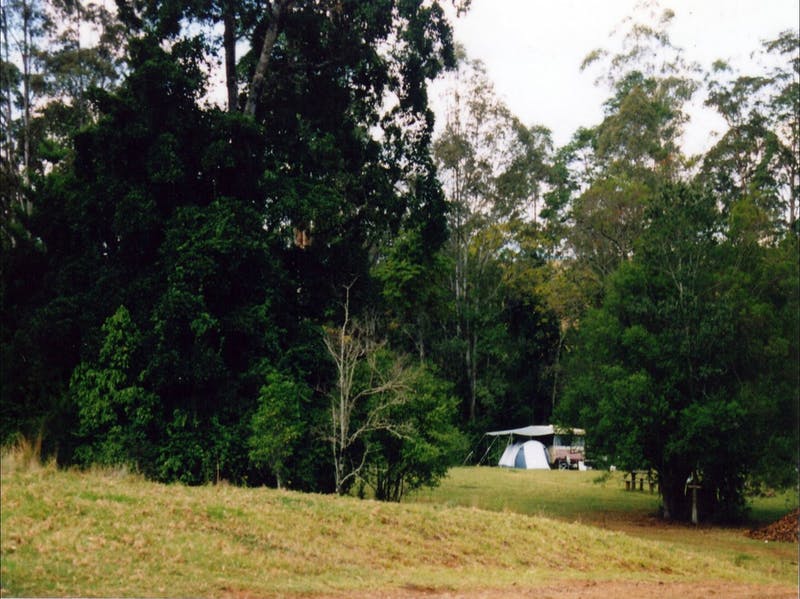 Levuka Rainforest Recreation Park | Glen Innes Highlands